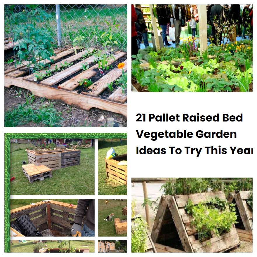 21 Pallet Raised Bed Vegetable Garden Ideas To Try This Year | SharonSable