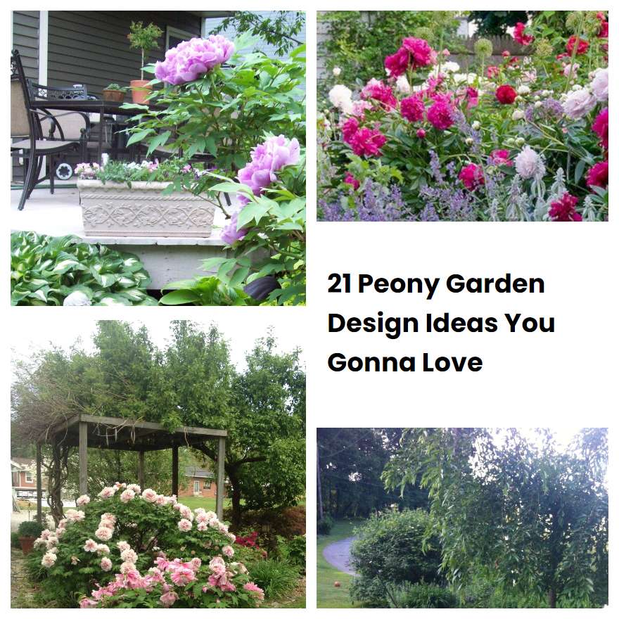 21 Peony Garden Design Ideas You Gonna Love | SharonSable