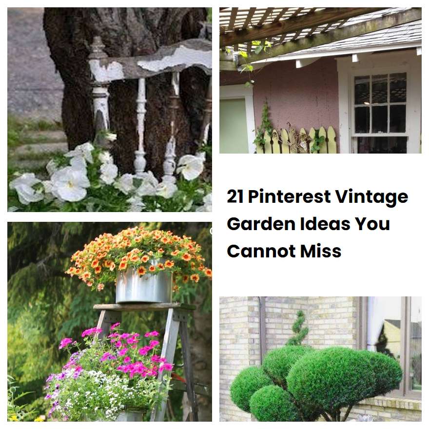 24 Small Prayer Garden Ideas You Must Look | SharonSable