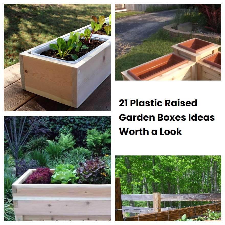 21 Plastic Raised Garden Boxes Ideas Worth a Look | SharonSable