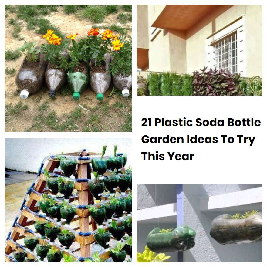 21 Plastic Soda Bottle Garden Ideas To Try This Year | SharonSable