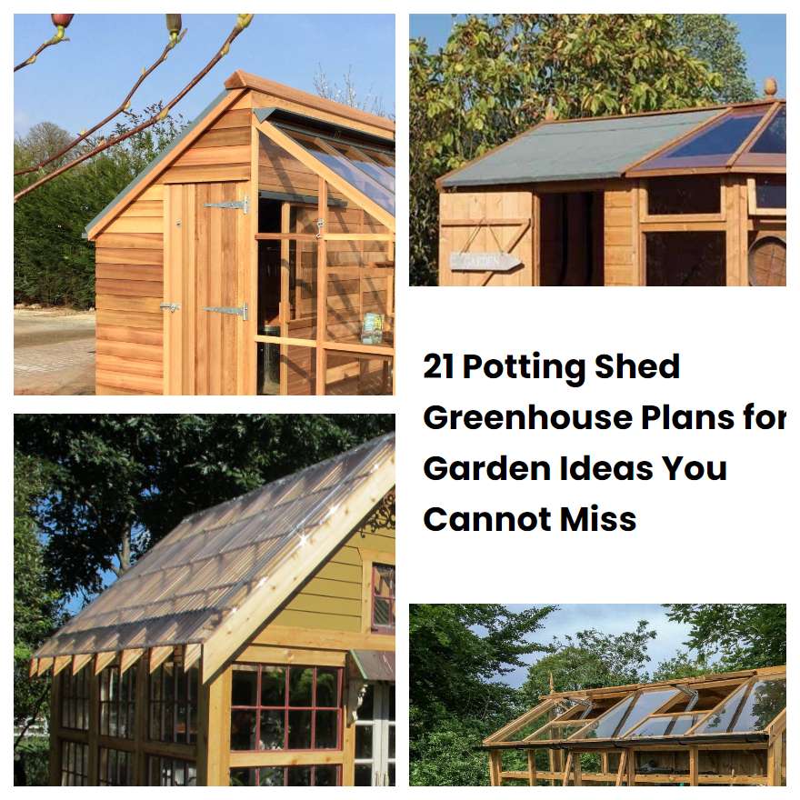 21 Potting Shed Greenhouse Plans for Garden Ideas You Cannot Miss | SharonSable