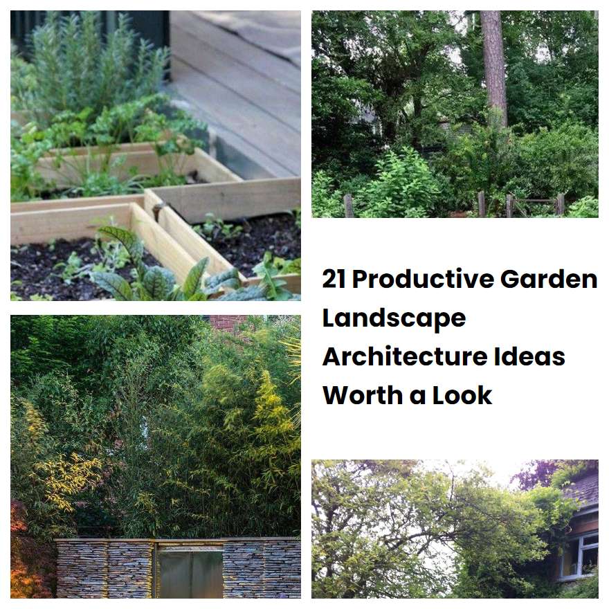 21 Productive Garden Landscape Architecture Ideas Worth a Look ...
