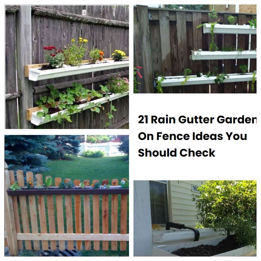 21 Rain Gutter Garden On Fence Ideas You Should Check | SharonSable