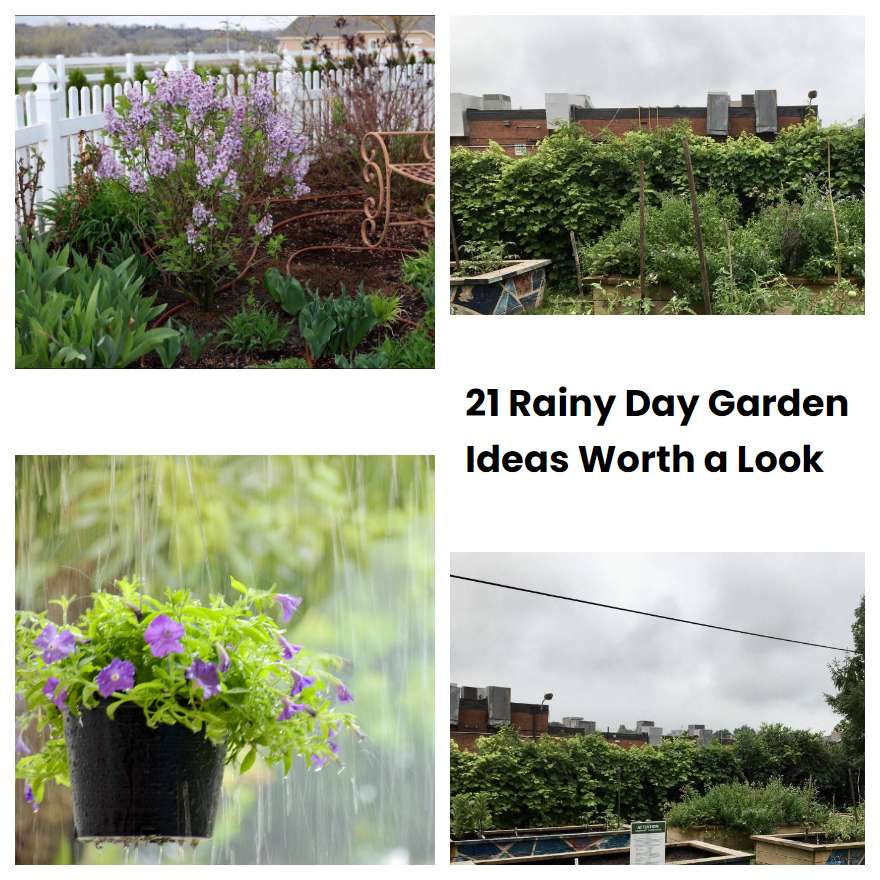 21 Rainy Day Garden Ideas Worth a Look | SharonSable