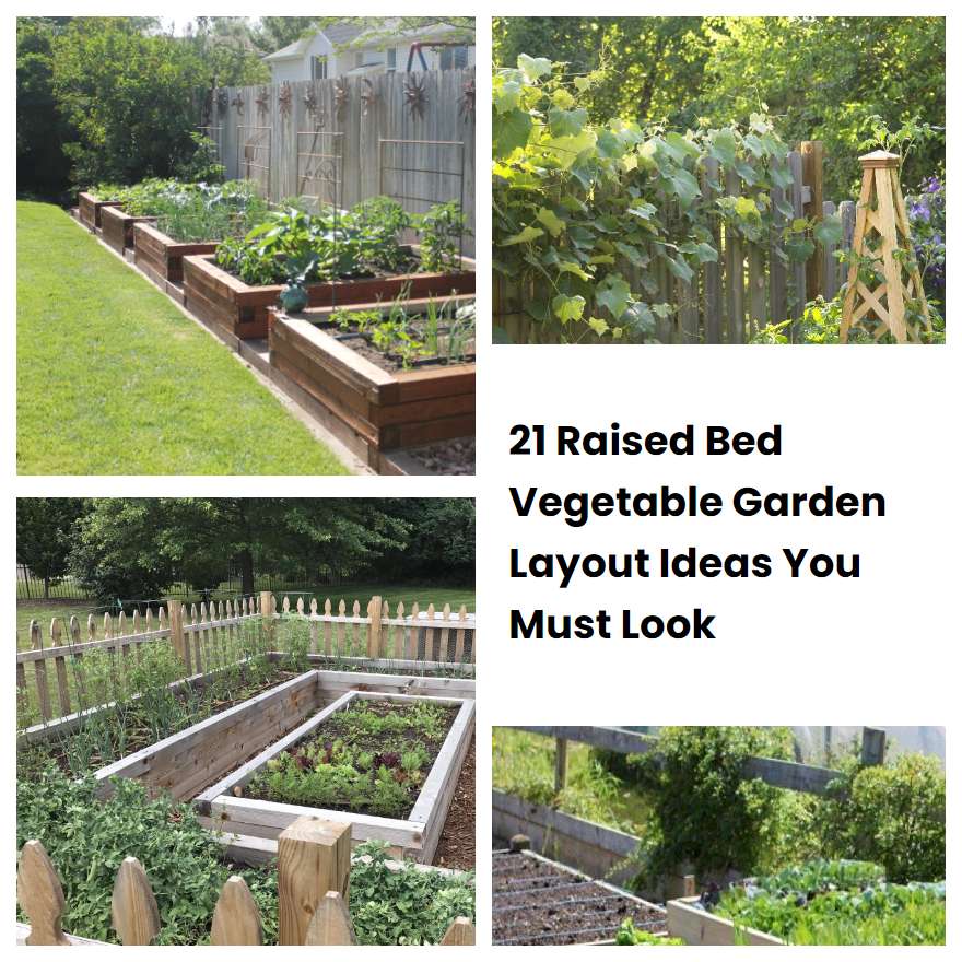 21 Raised Bed Vegetable Garden Layout Ideas You Must Look | SharonSable