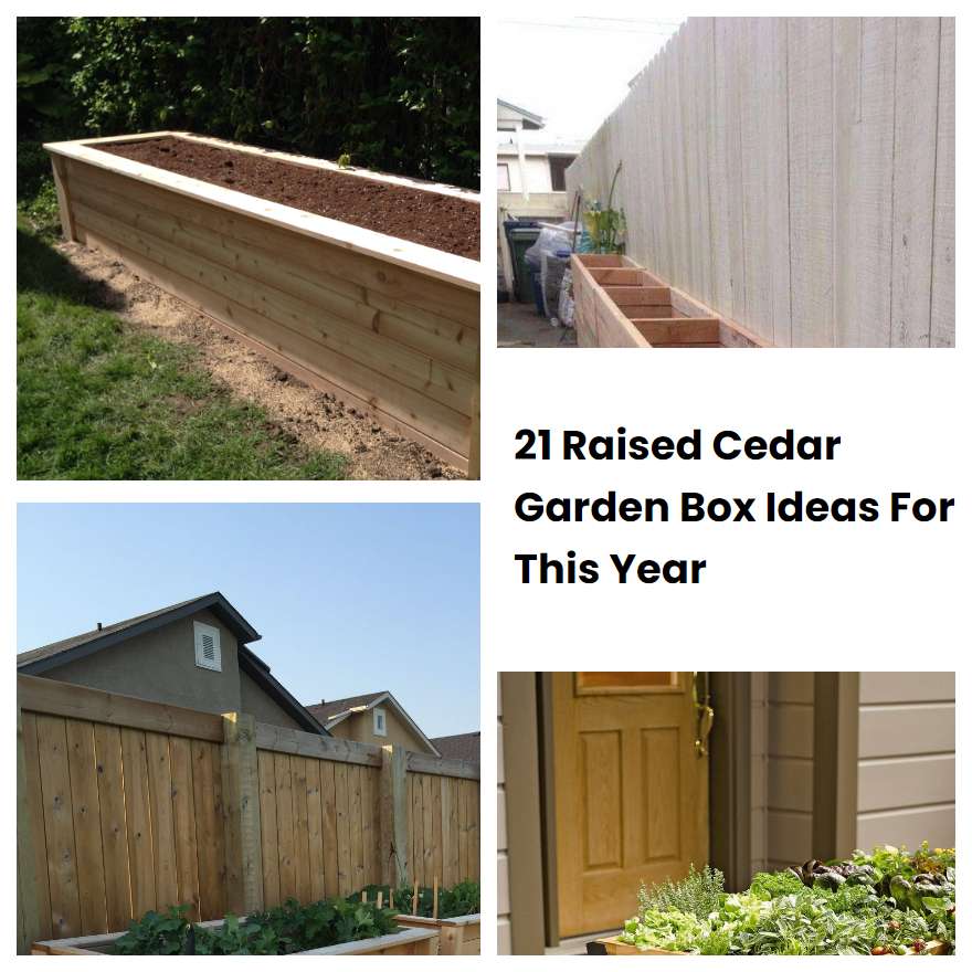 21 Raised Cedar Garden Box Ideas For This Year | SharonSable