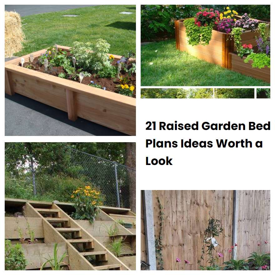 21 Raised Garden Bed Plans Ideas Worth A Look Sharonsable
