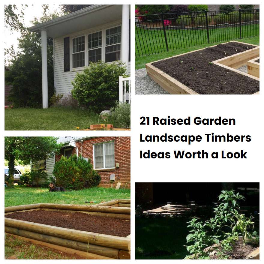 21 Raised Garden Landscape Timbers Ideas Worth a Look | SharonSable