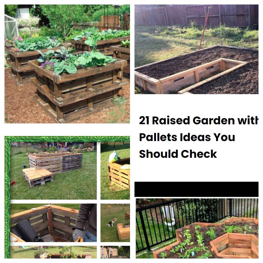 21 Raised Garden with Pallets Ideas You Should Check | SharonSable