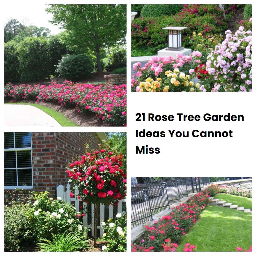 21 Rose Tree Garden Ideas You Cannot Miss | SharonSable