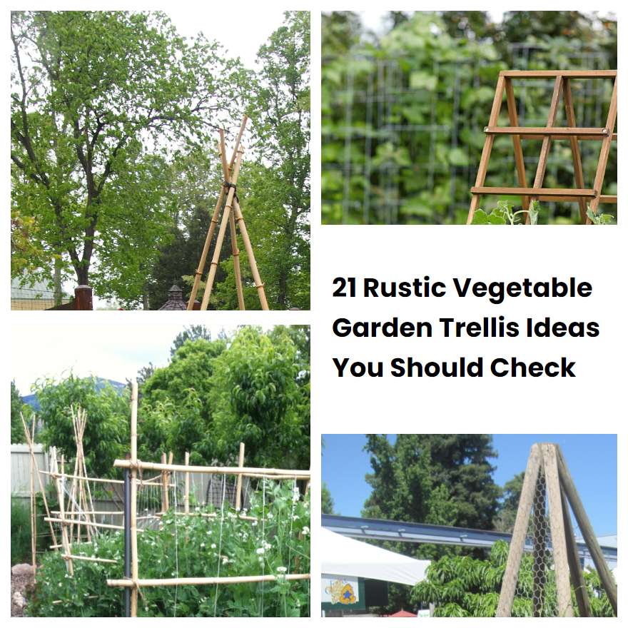 21 Rustic Vegetable Garden Trellis Ideas You Should Check | SharonSable
