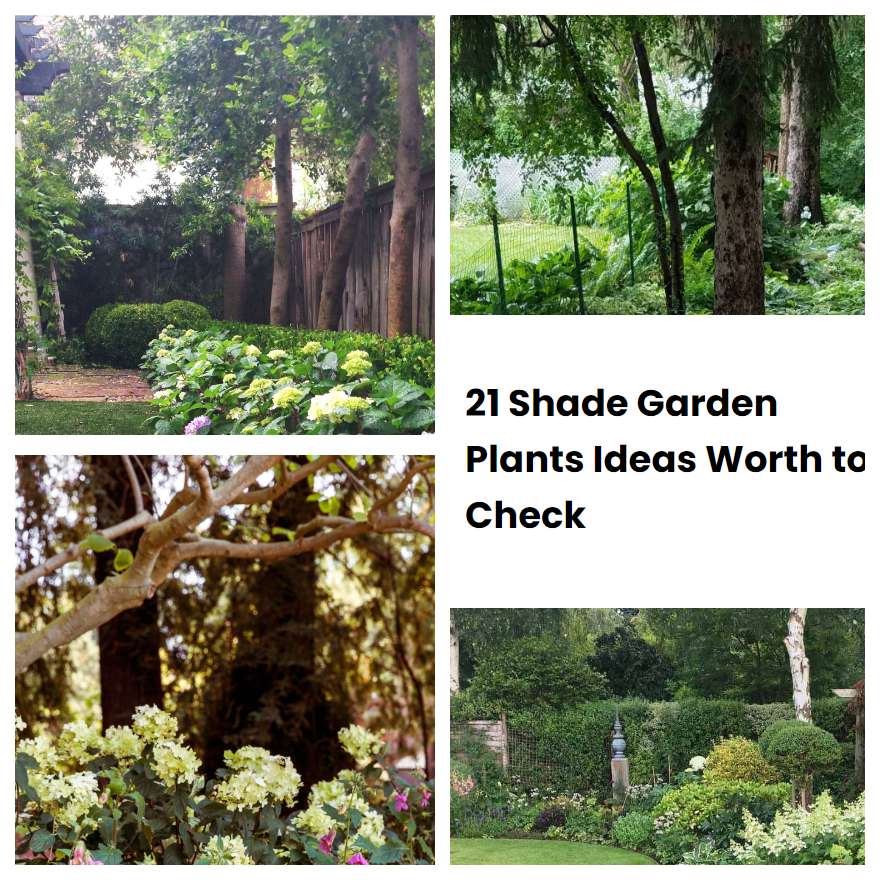 21 Shade Garden Plants Ideas Worth to Check | SharonSable