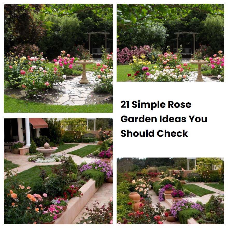 21 Simple Rose Garden Ideas You Should Check | SharonSable