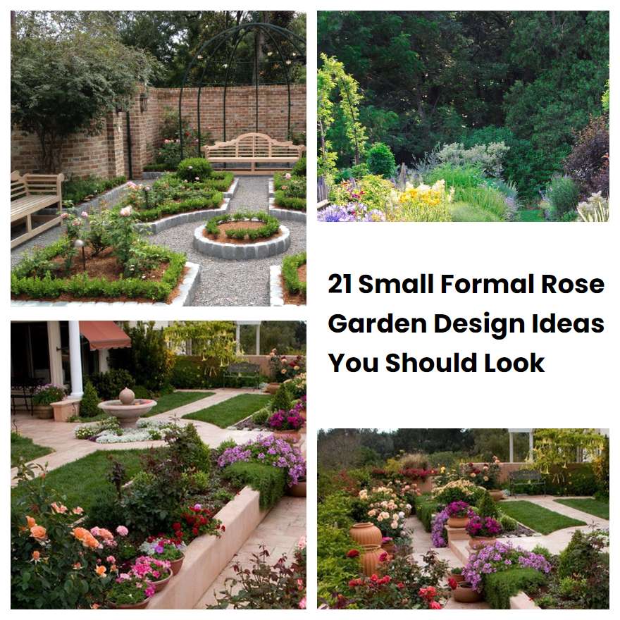 21 Small Formal Rose Garden Design Ideas You Should Look | SharonSable