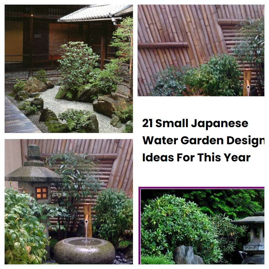 21 Small Japanese Water Garden Design Ideas For This Year | SharonSable