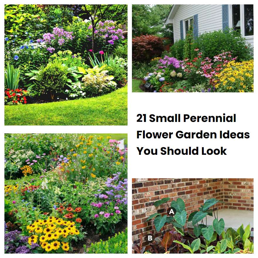 21 Small Perennial Flower Garden Ideas You Should Look | SharonSable