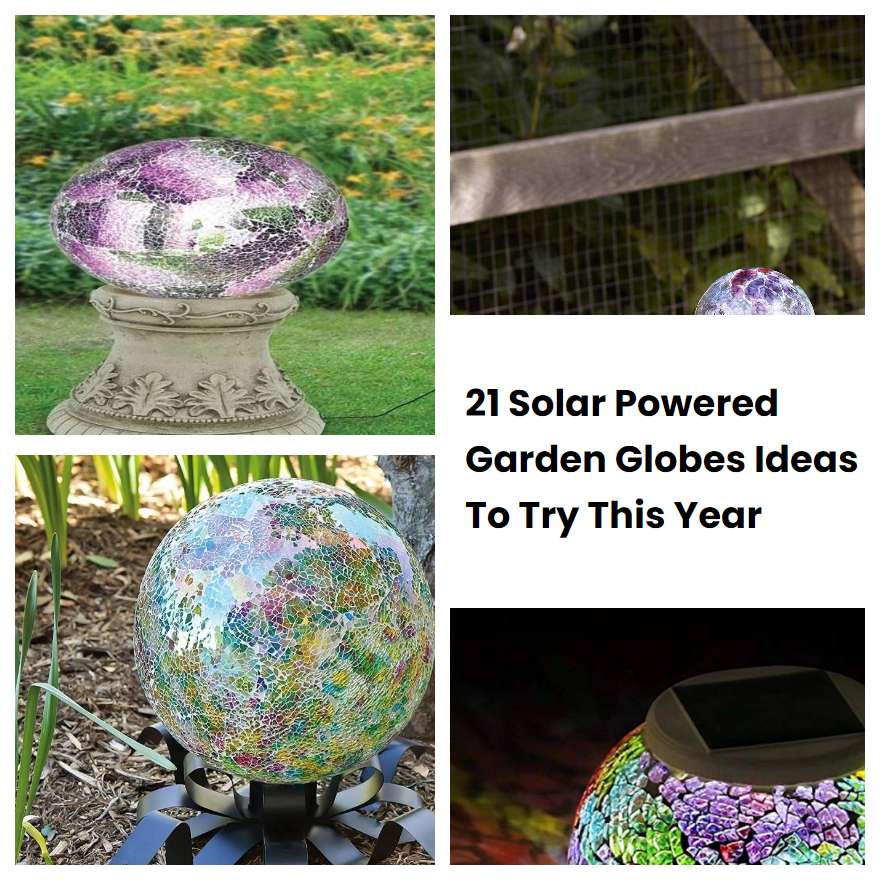 21 Solar Powered Garden Globes Ideas To Try This Year | SharonSable