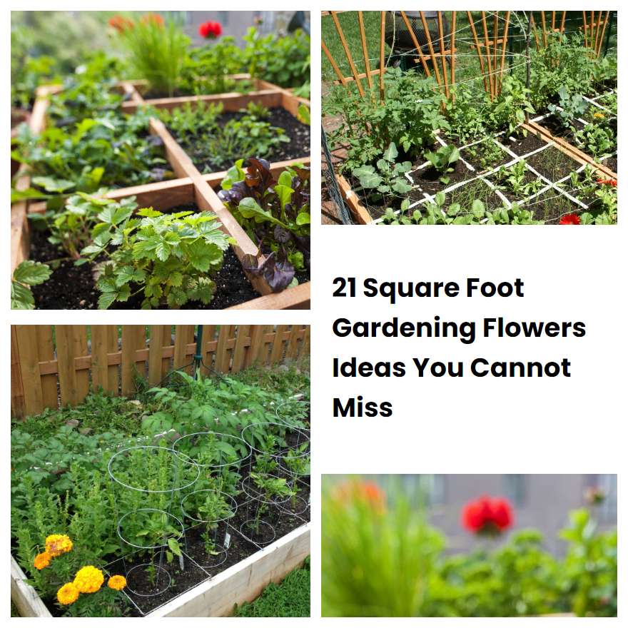 21 Square Foot Gardening Flowers Ideas You Cannot Miss | SharonSable