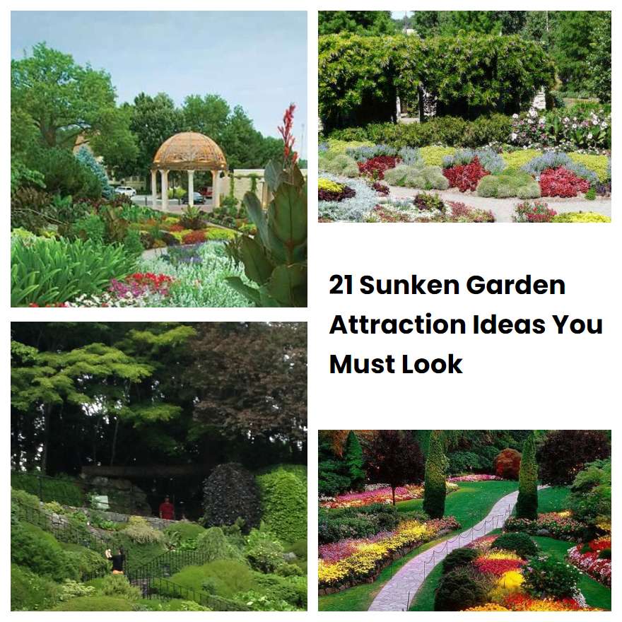 21 Sunken Garden Attraction Ideas You Must Look | SharonSable