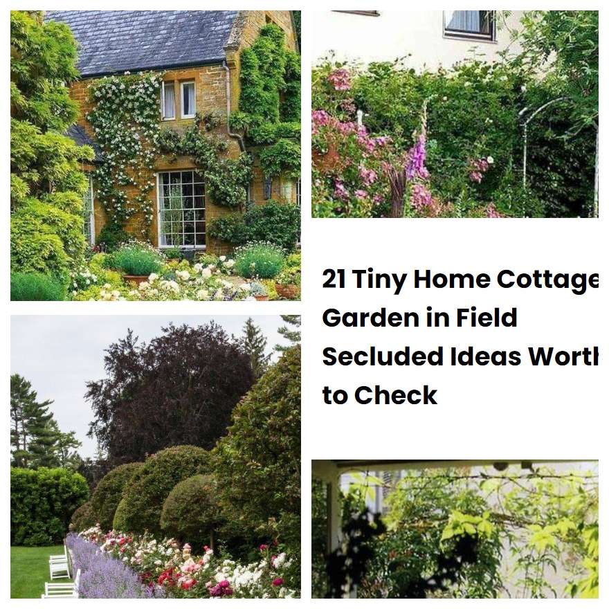 21 Tiny Home Cottage Garden in Field Secluded Ideas Worth to Check ...
