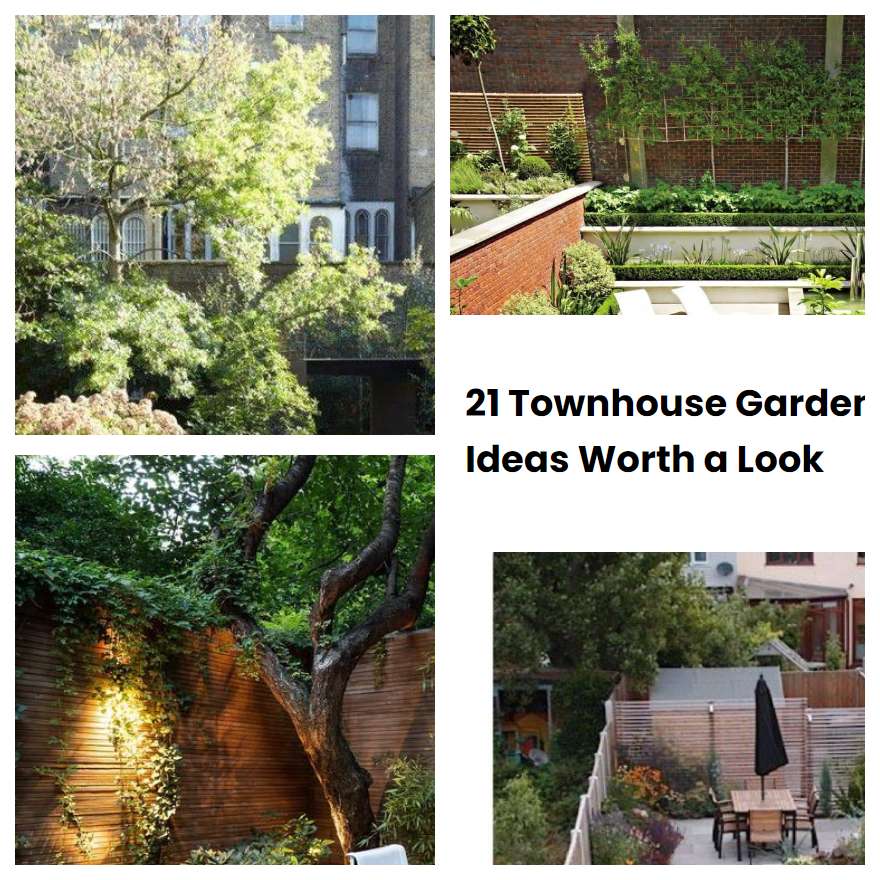 21 Townhouse Garden Ideas Worth a Look | SharonSable