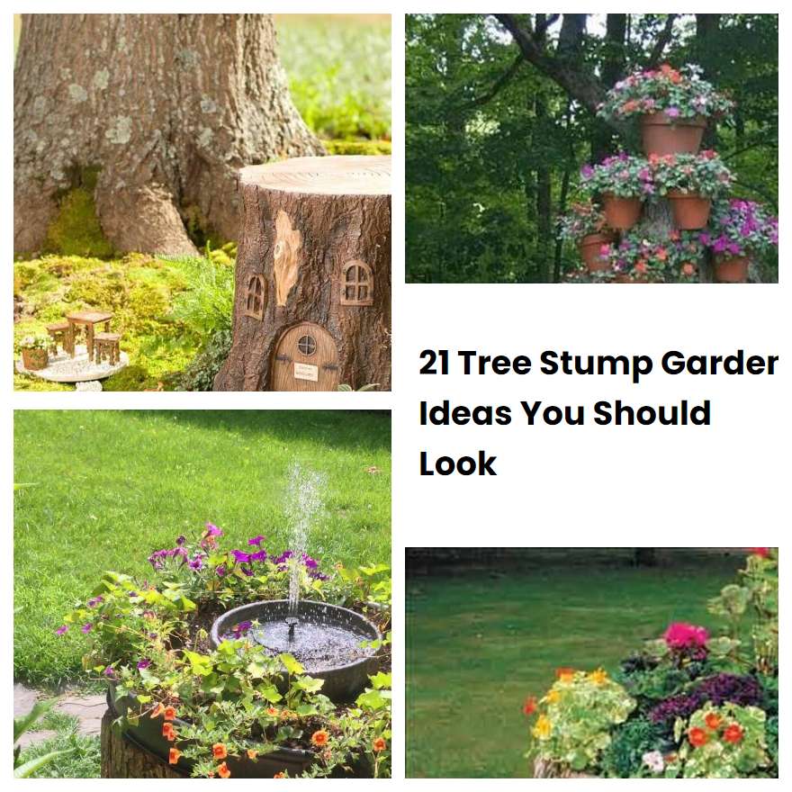 21 Tree Stump Garden Ideas You Should Look | SharonSable