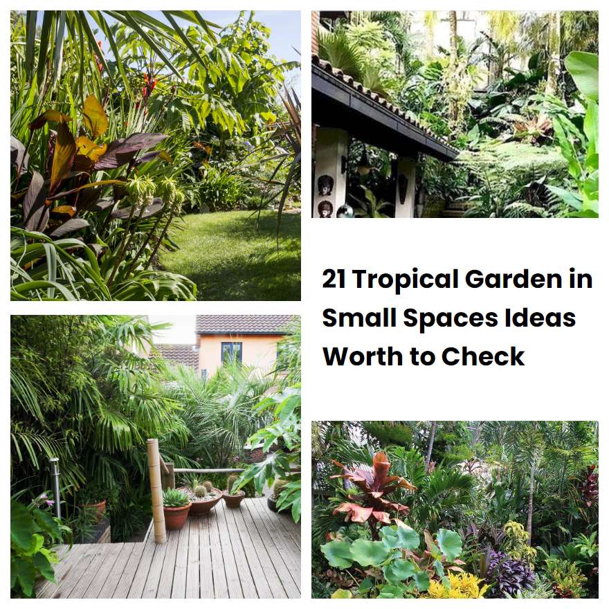 21 Tropical Garden in Small Spaces Ideas Worth to Check | SharonSable