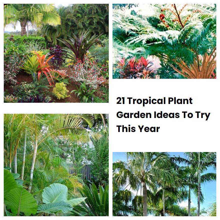 21 Tropical Plant Garden Ideas To Try This Year | SharonSable