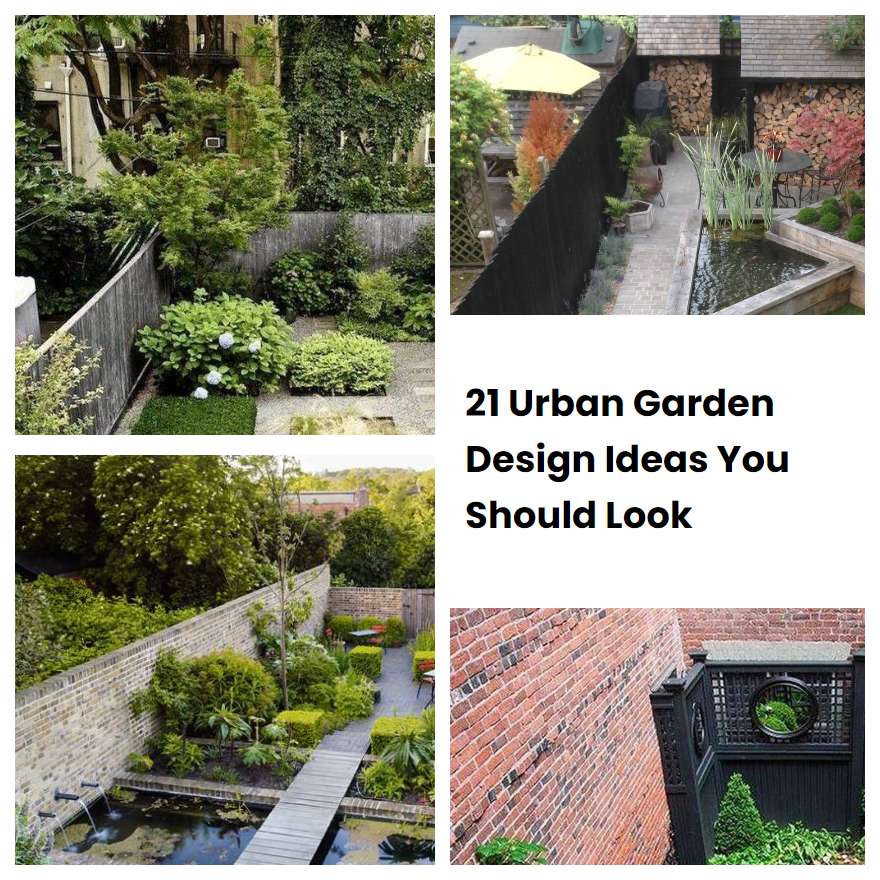 21 Urban Garden Design Ideas You Should Look | SharonSable