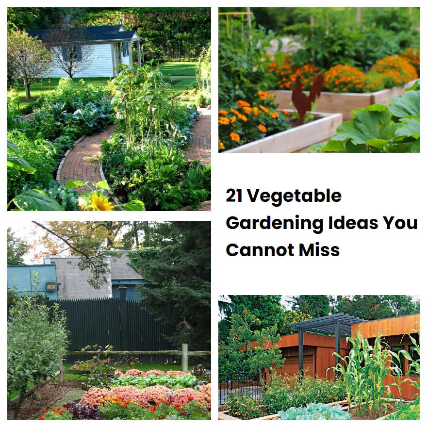 23 Tea Rose Garden Ideas You Must Look | SharonSable