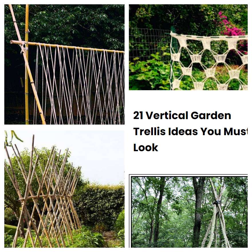 21 Vertical Garden Trellis Ideas You Must Look | SharonSable