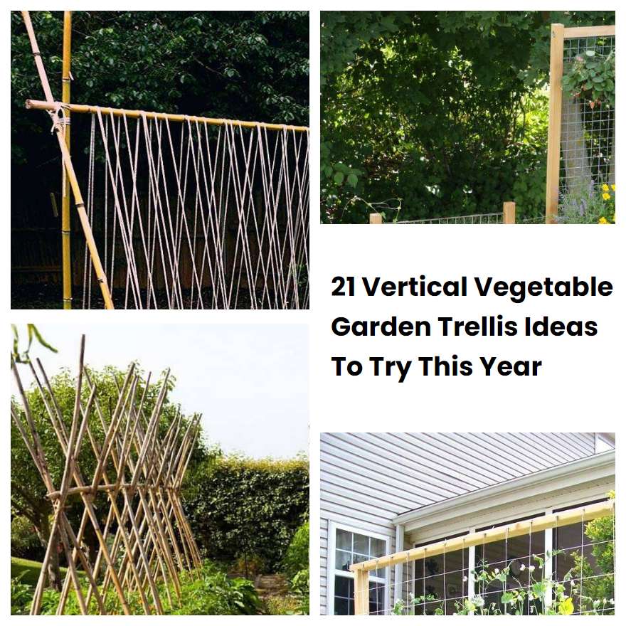 21 Vertical Vegetable Garden Trellis Ideas To Try This Year | SharonSable