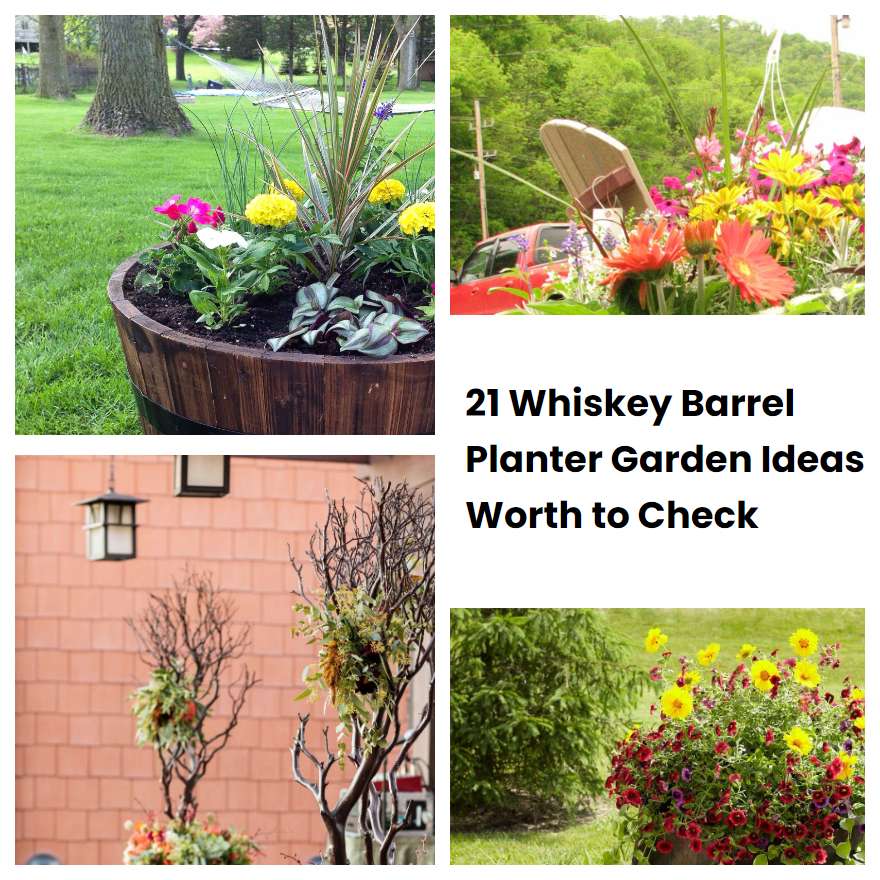 21 Whiskey Barrel Planter Garden Ideas Worth to Check | SharonSable