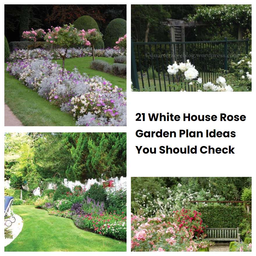 21 White House Rose Garden Plan Ideas You Should Check | SharonSable