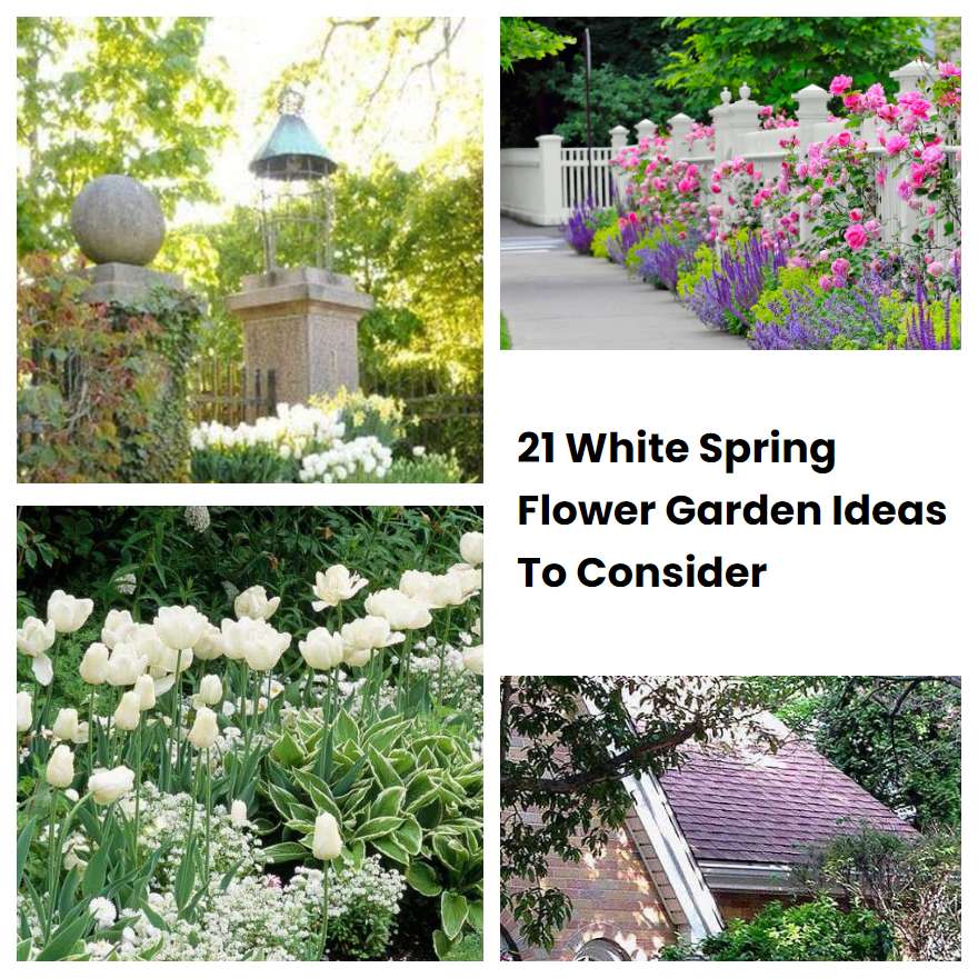 21 White Spring Flower Garden Ideas To Consider | SharonSable