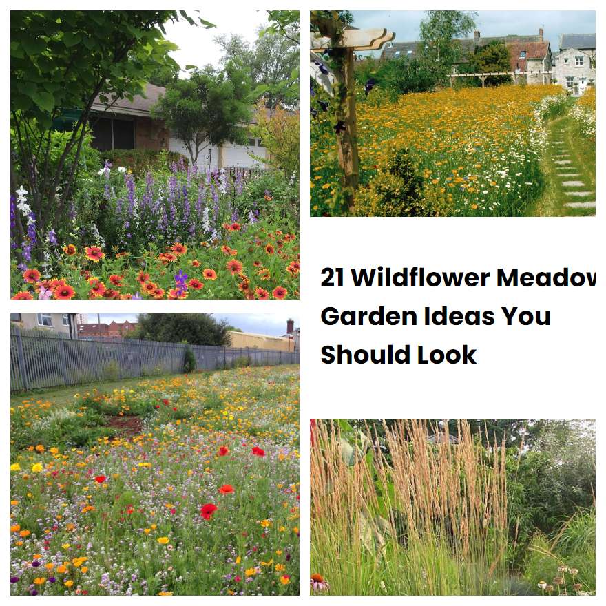 21 Wildflower Meadow Garden Ideas You Should Look | SharonSable