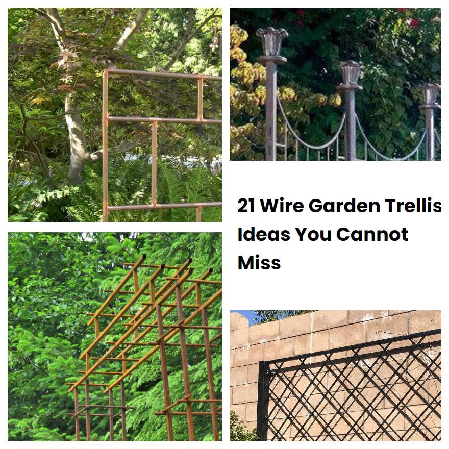 21 Wire Garden Trellis Ideas You Cannot Miss | SharonSable