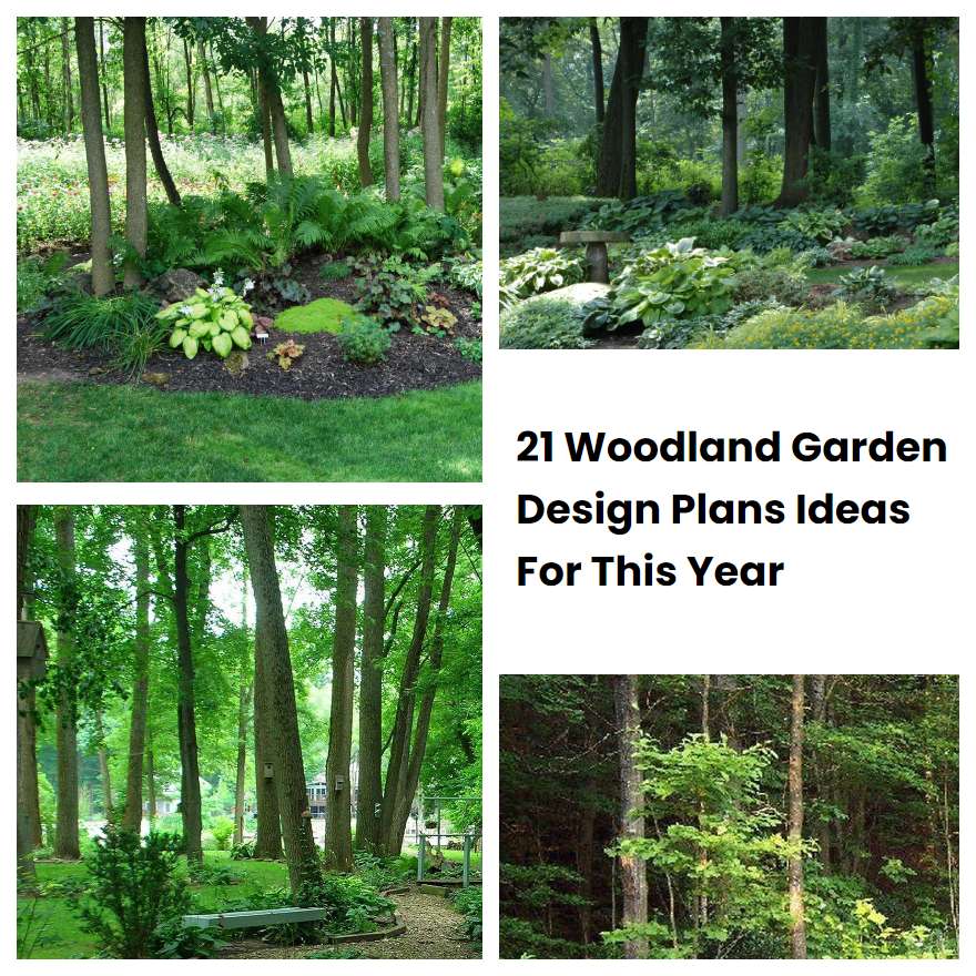 21 Woodland Garden Design Plans Ideas For This Year | SharonSable 21 Woodland Garden Design Plans Ideas For This Year | SharonSable
