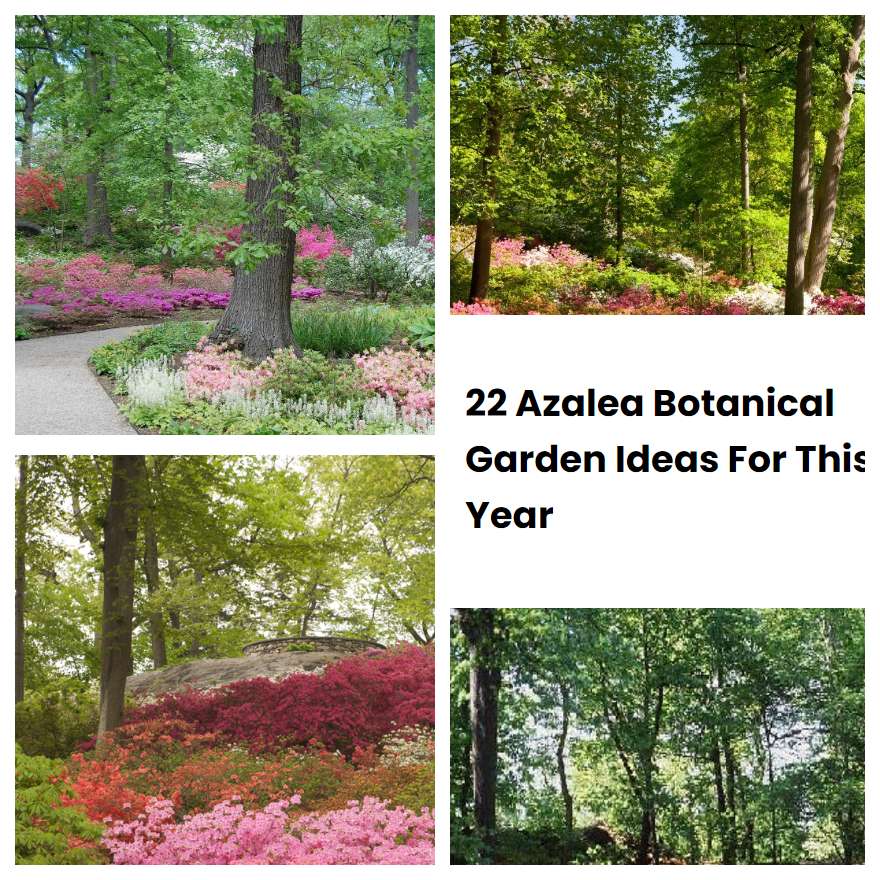 22 Azalea Botanical Garden Ideas For This Year | SharonSable
