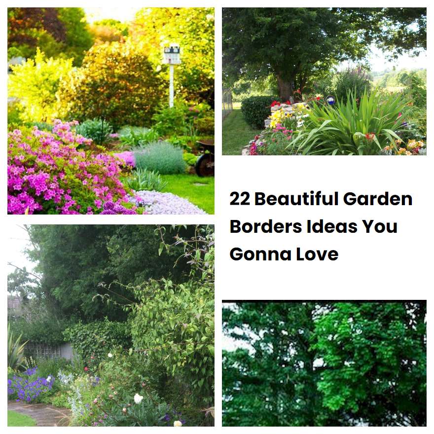 22 Beautiful Garden Borders Ideas You Gonna Love | SharonSable