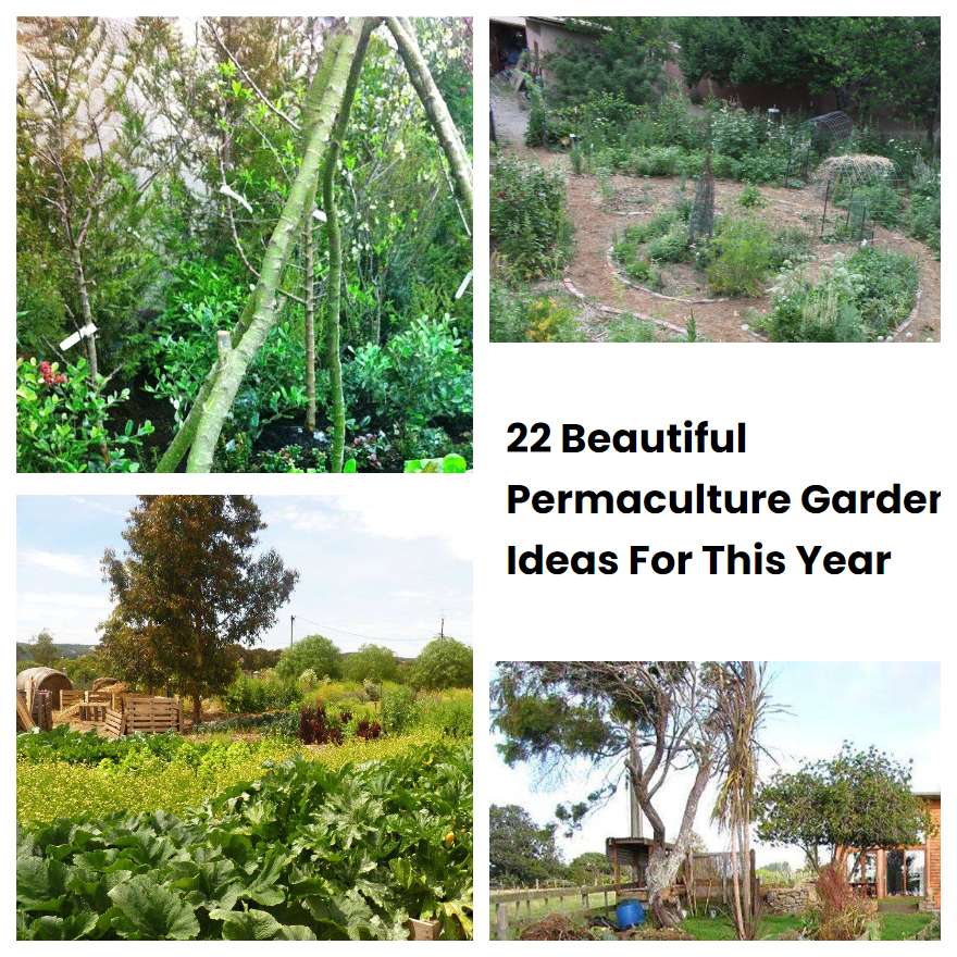 22 Beautiful Permaculture Garden Ideas For This Year | SharonSable