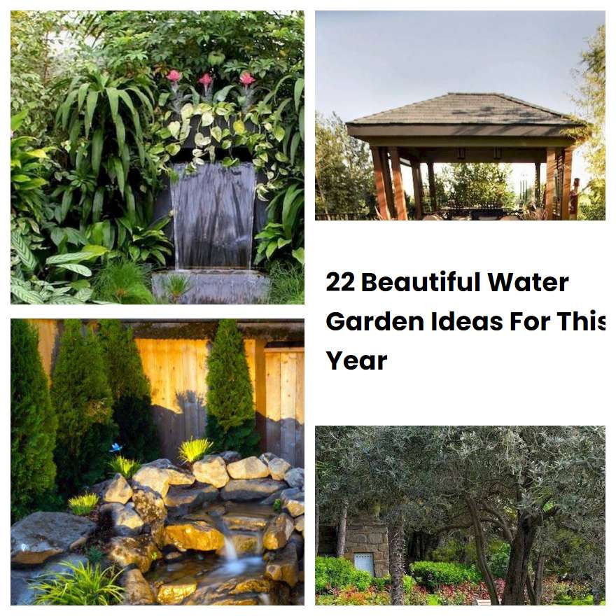 22 Beautiful Water Garden Ideas For This Year | SharonSable