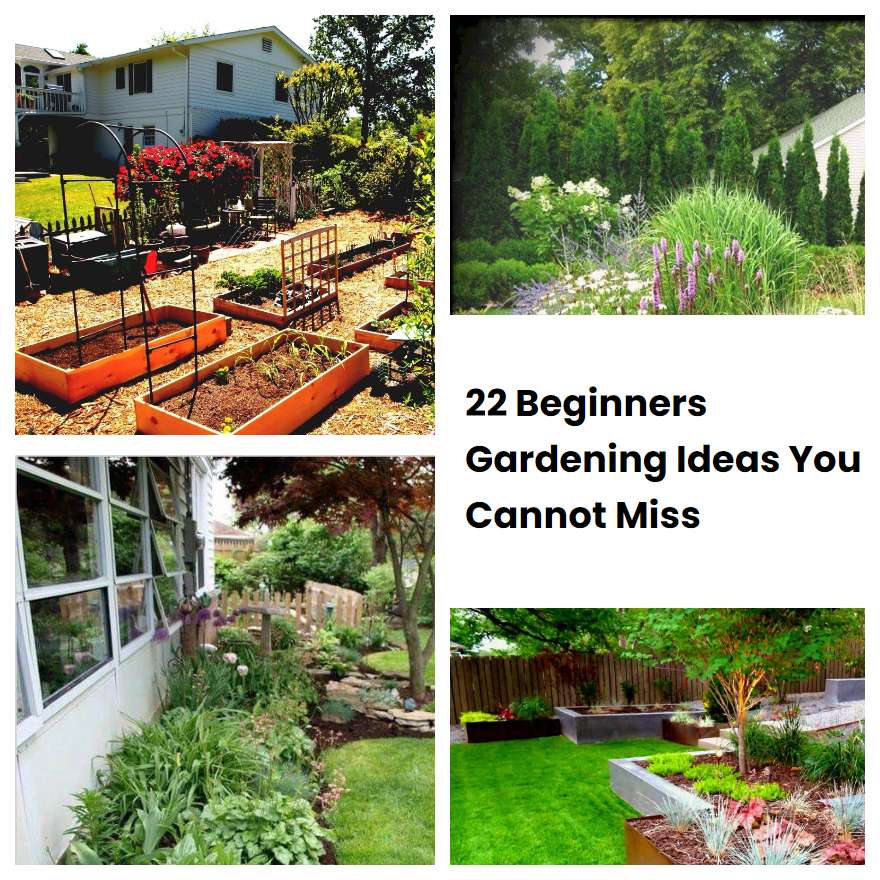 22 Beginners Gardening Ideas You Cannot Miss | SharonSable