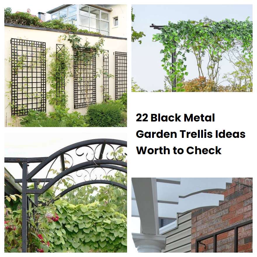 22 Black Metal Garden Trellis Ideas Worth to Check | SharonSable