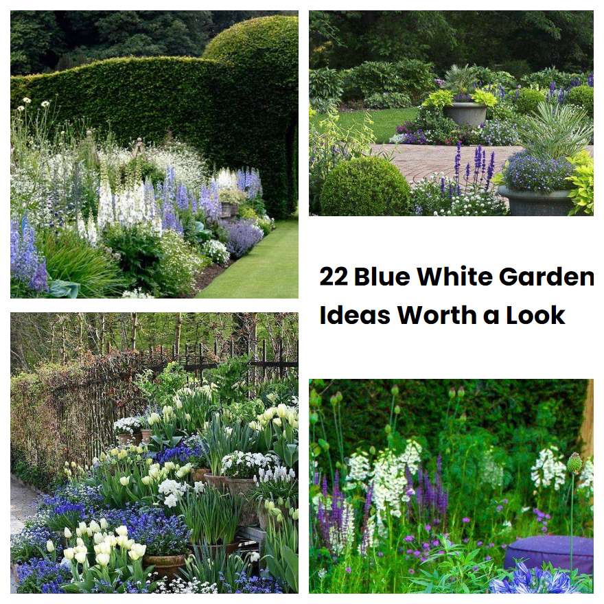 22 Blue White Garden Ideas Worth a Look | SharonSable