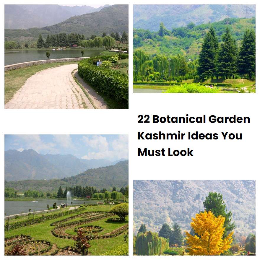 22 Botanical Garden Kashmir Ideas You Must Look | SharonSable