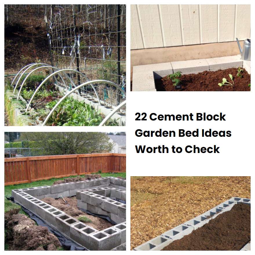 22 Cement Block Garden Bed Ideas Worth to Check | SharonSable