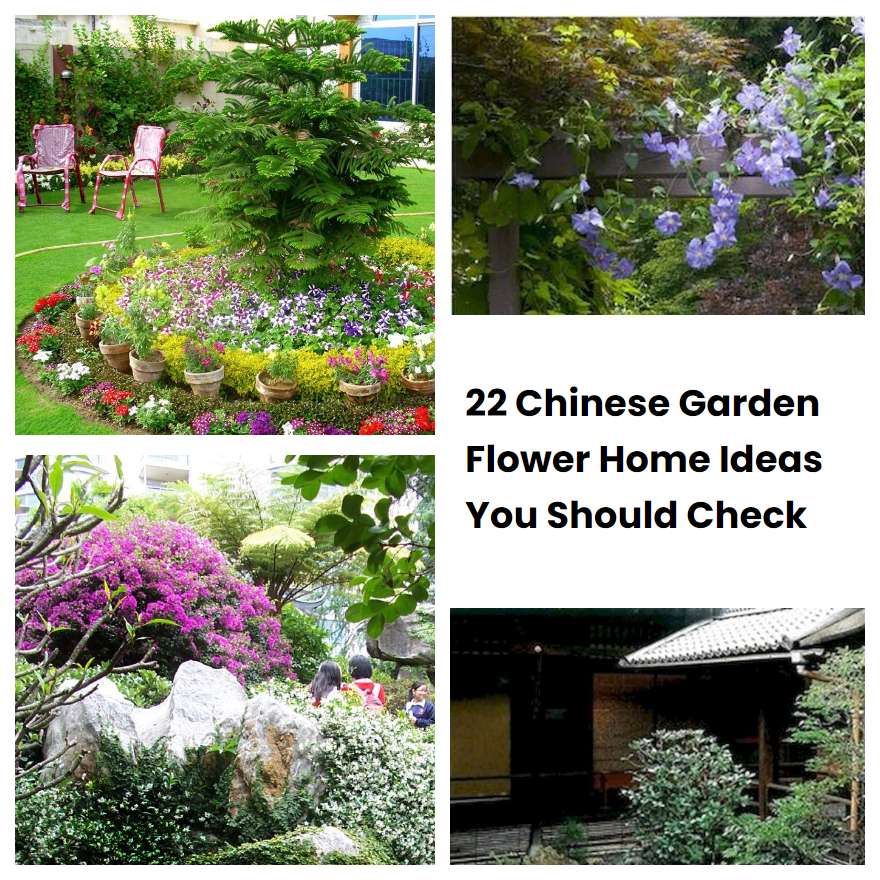 22 Chinese Garden Flower Home Ideas You Should Check | SharonSable