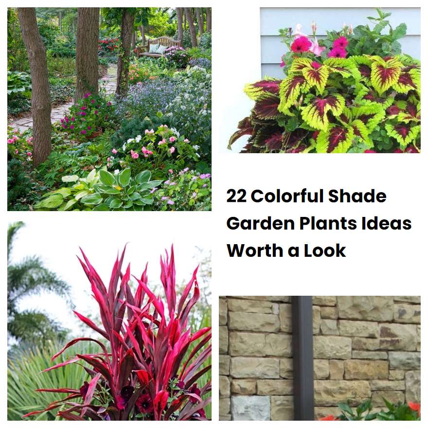 22 Colorful Shade Garden Plants Ideas Worth a Look | SharonSable